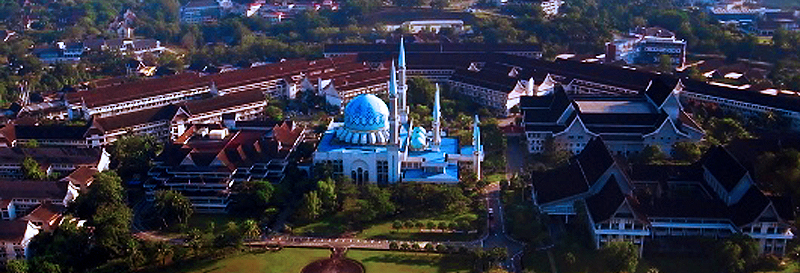 Branches | UTM Library